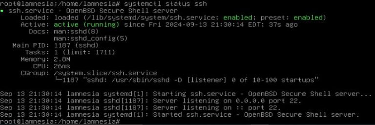 Tutorial Cara Install SSH Server di Debian 12 - Lamnesia Media